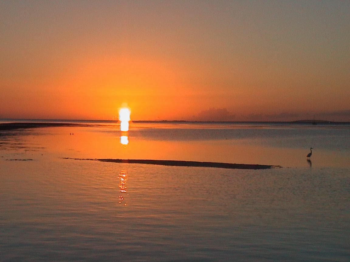 Mai Thai Wanderings: Escape to the Florida Keys for Valentine's Day