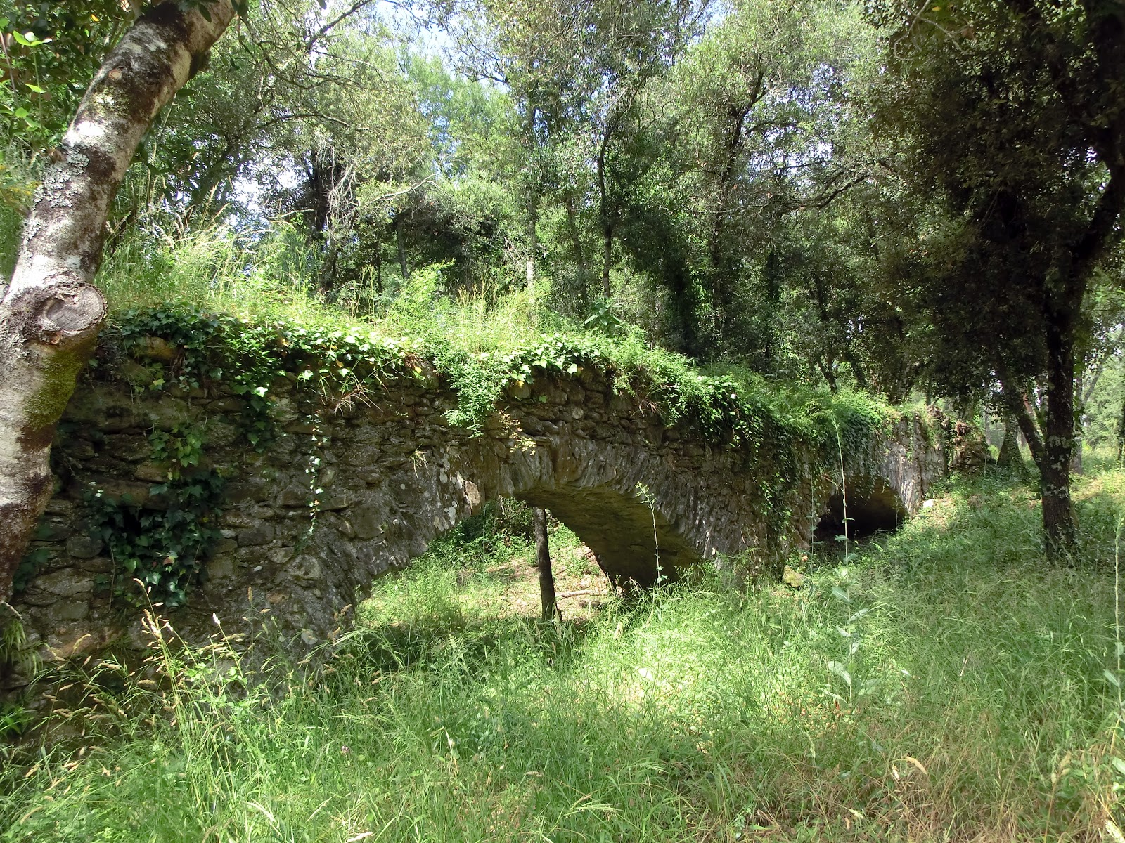 les Gavarres: Molí d'en Frigola