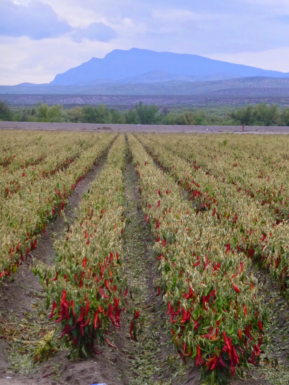 Naturally...: October 2014