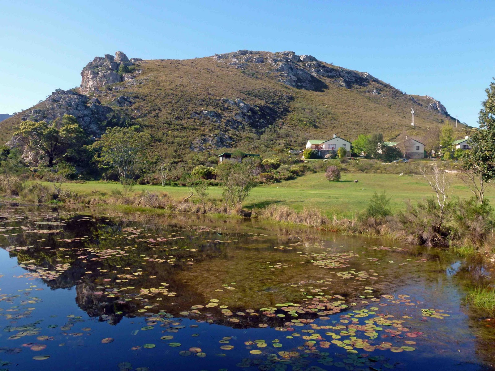 Semester at Sea Ruminations: South Africa Day 3: The Volmoed Community