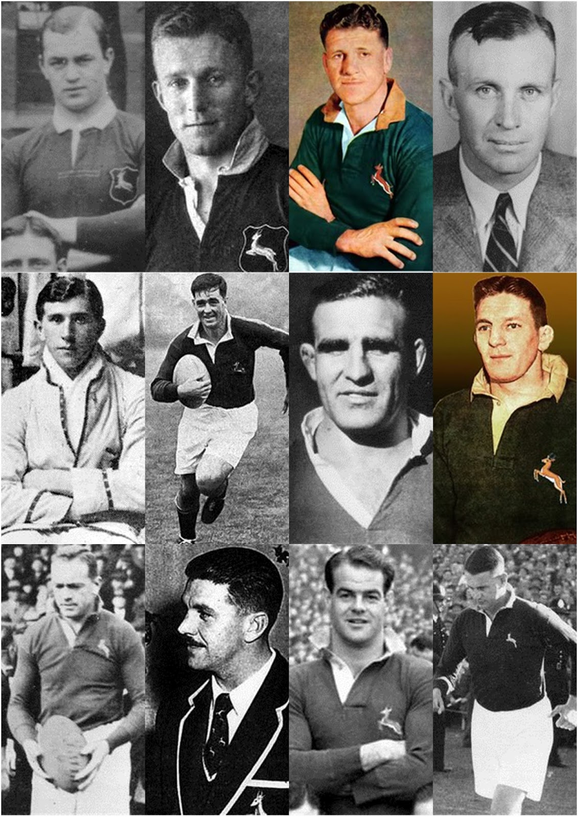 SA's best rugby blog