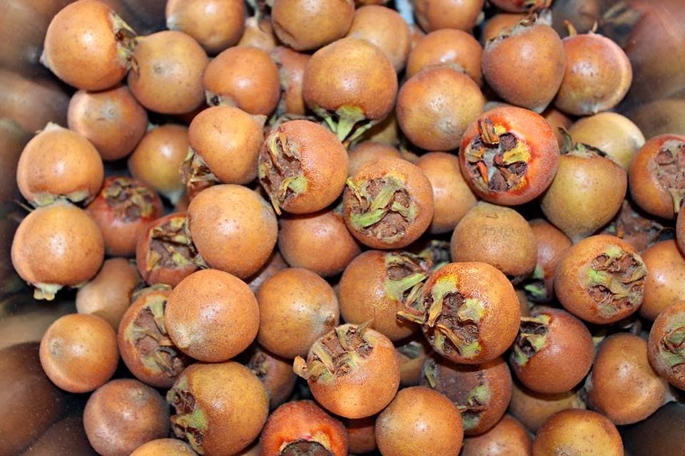 Bakır Tencerem: Muşmula turşusu