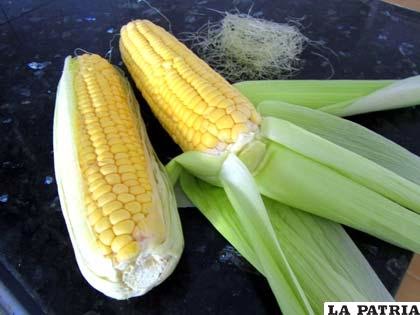 El choclo ayuda a reducir las infecciones renales e intestinales ...