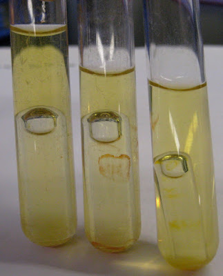 Eijkman Test - Microbiology Laboratory Turkey