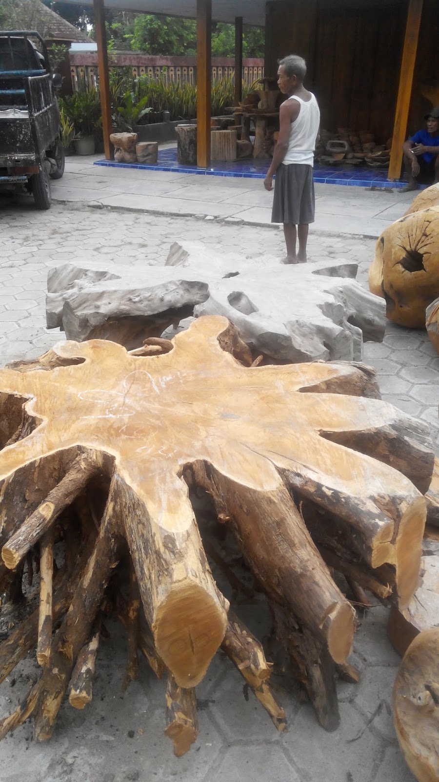 akar jati,oyot jati,kerajinan siap order | gallery jati alam