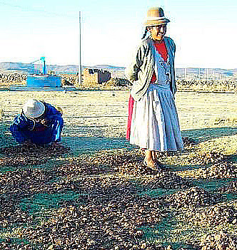 PUNO, CULTURA Y DESARROLLO: MAS SOBRE EL CHUÑO