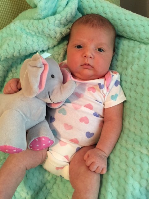 Sherman family: 6 Weeks Old