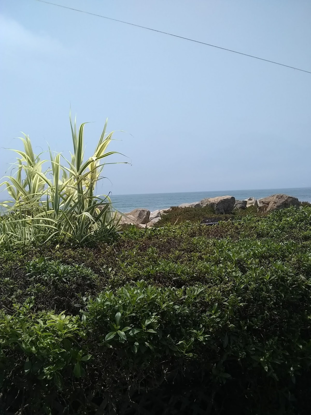 Little Patch of Earth: Padaro Beach Grill