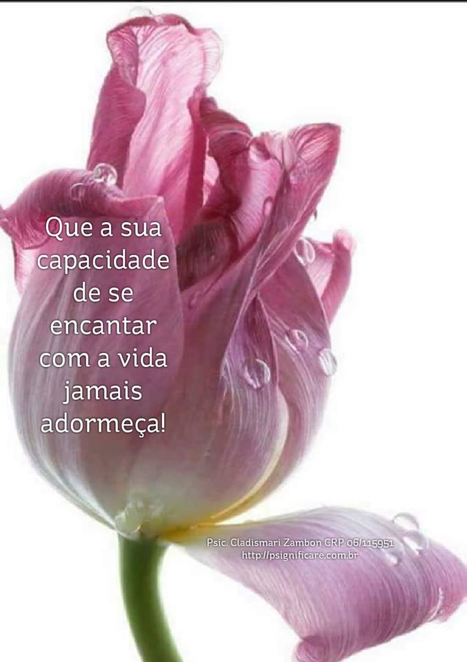 Psicologia e Psicanálise - Reflexões e Mensagens: A capacidade de se ...