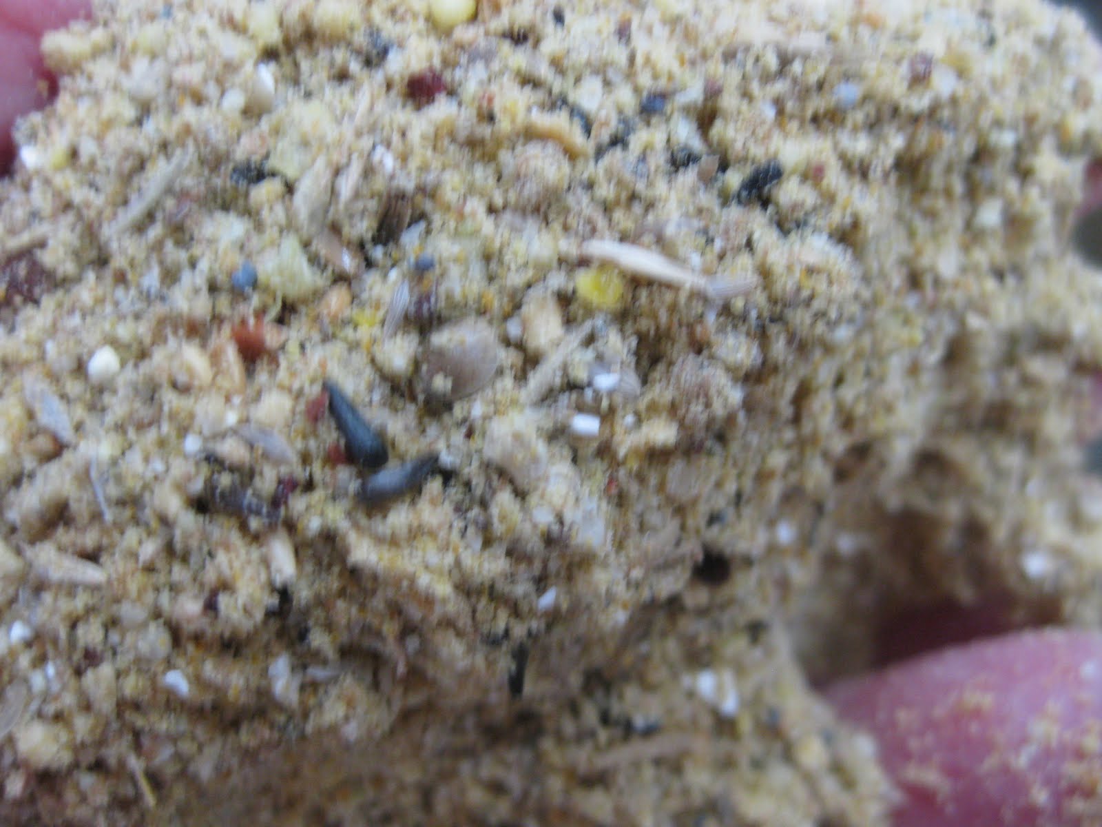 Canary Tales: Conditioner and Dry Nestling Food