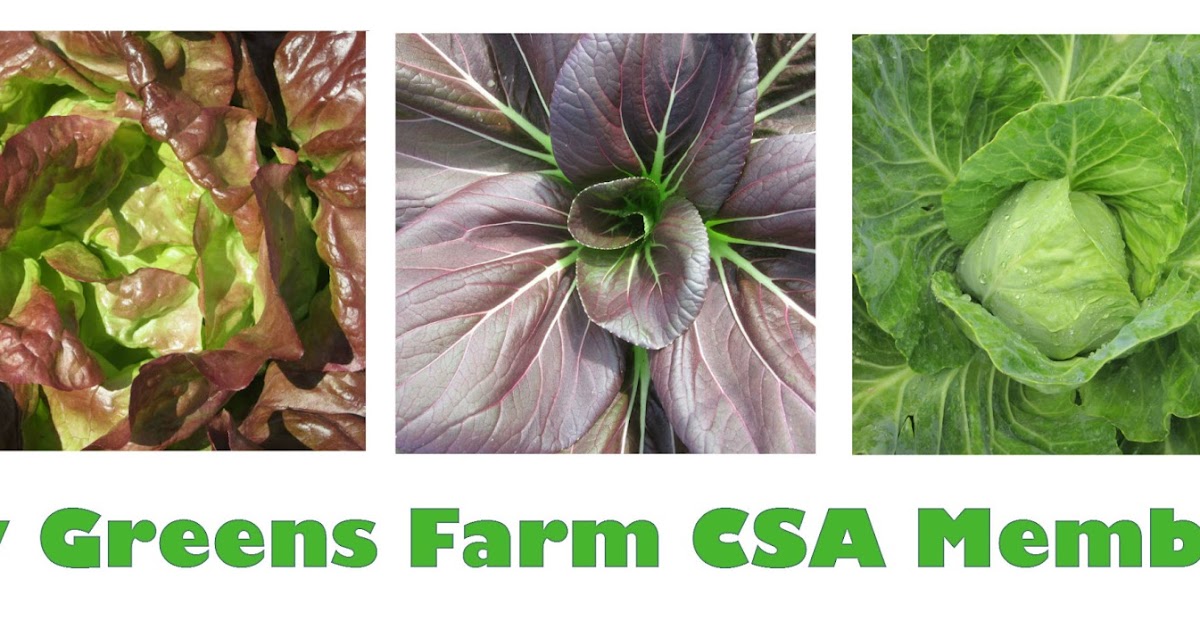Leafy Greens Farm: CSA