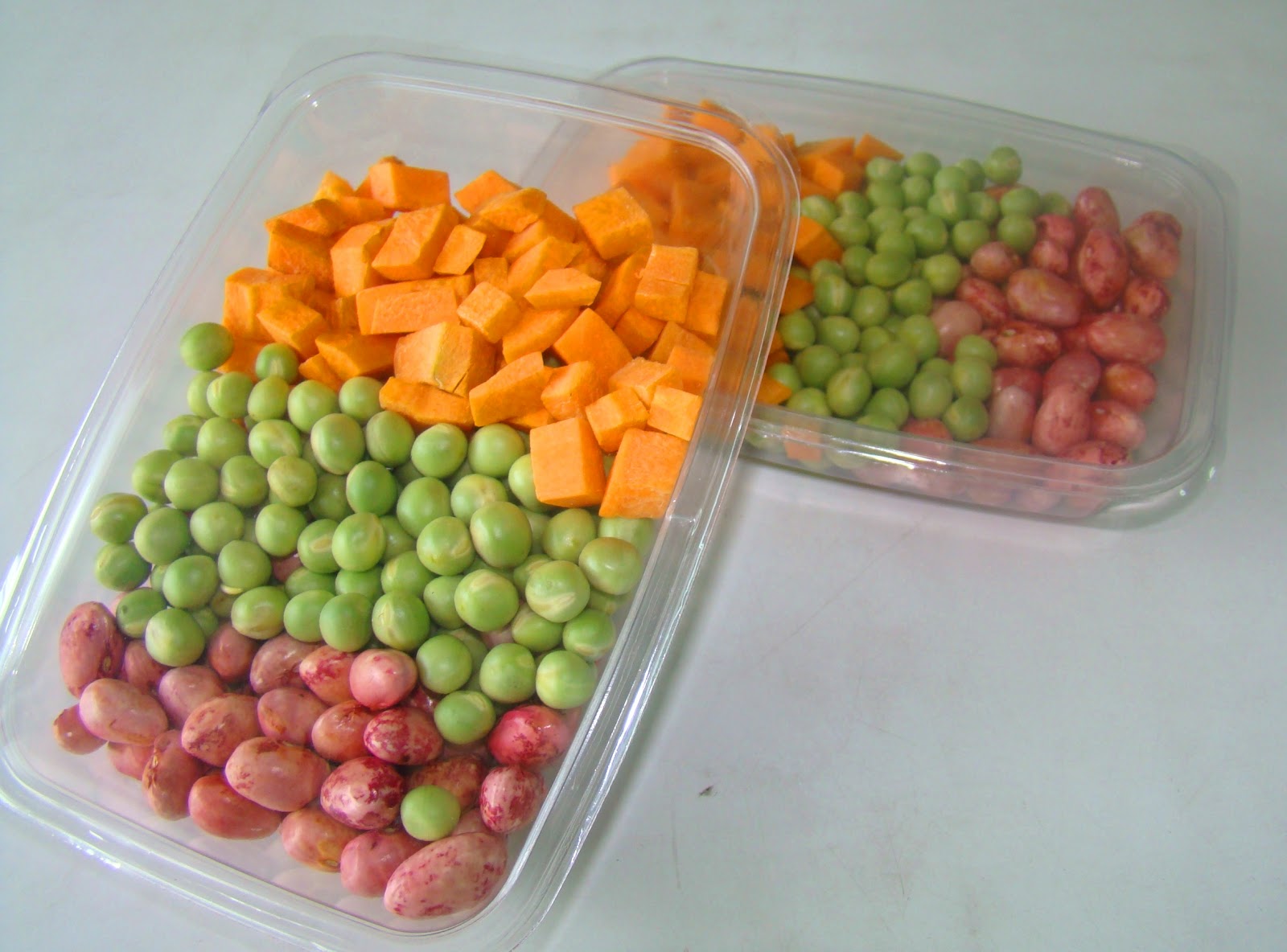 Mix de verduras envasados en atmósfera modificada 2 | Atmosfera Modificada