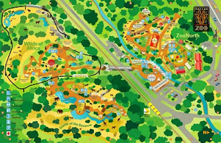 RETRO ILLUSTRATION: Dallas Zoo Map