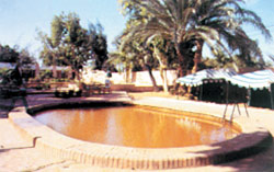 Egypt Tours: Medical Tourism