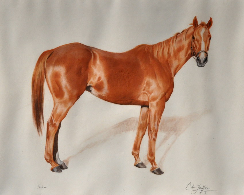 Historia y evolución de la pintura artística : Su amor por los corceles ...