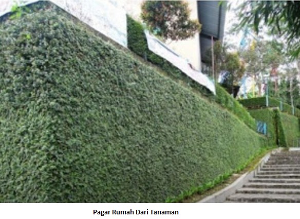 Desain Rumah Minimalis: Ternyata Pagar Rumah Tidak Harus Dari Tembok ...