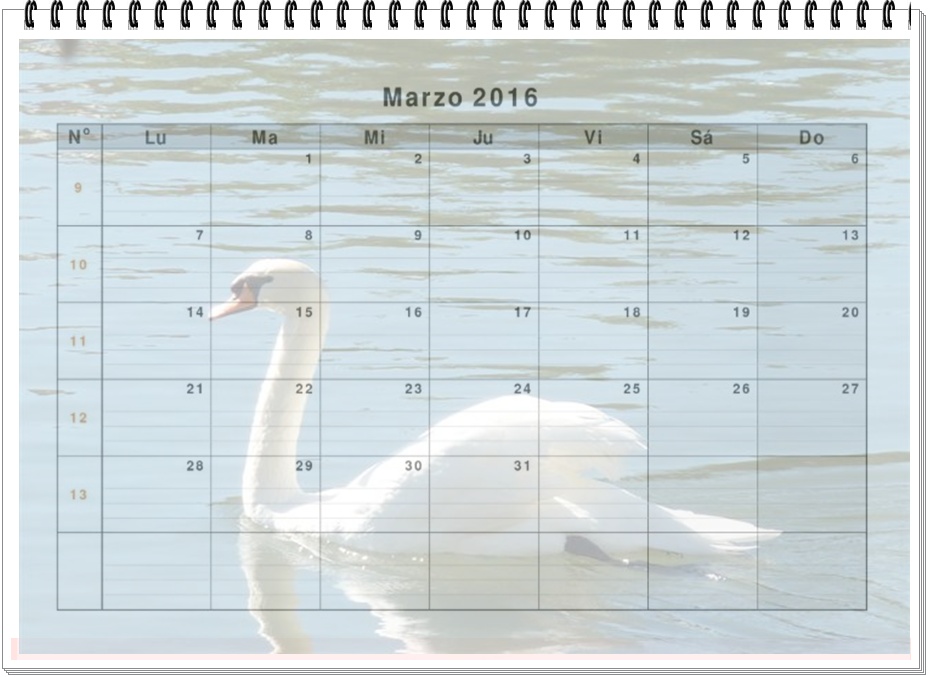 TomaZoom: Calendarios 2016 con Photoscape