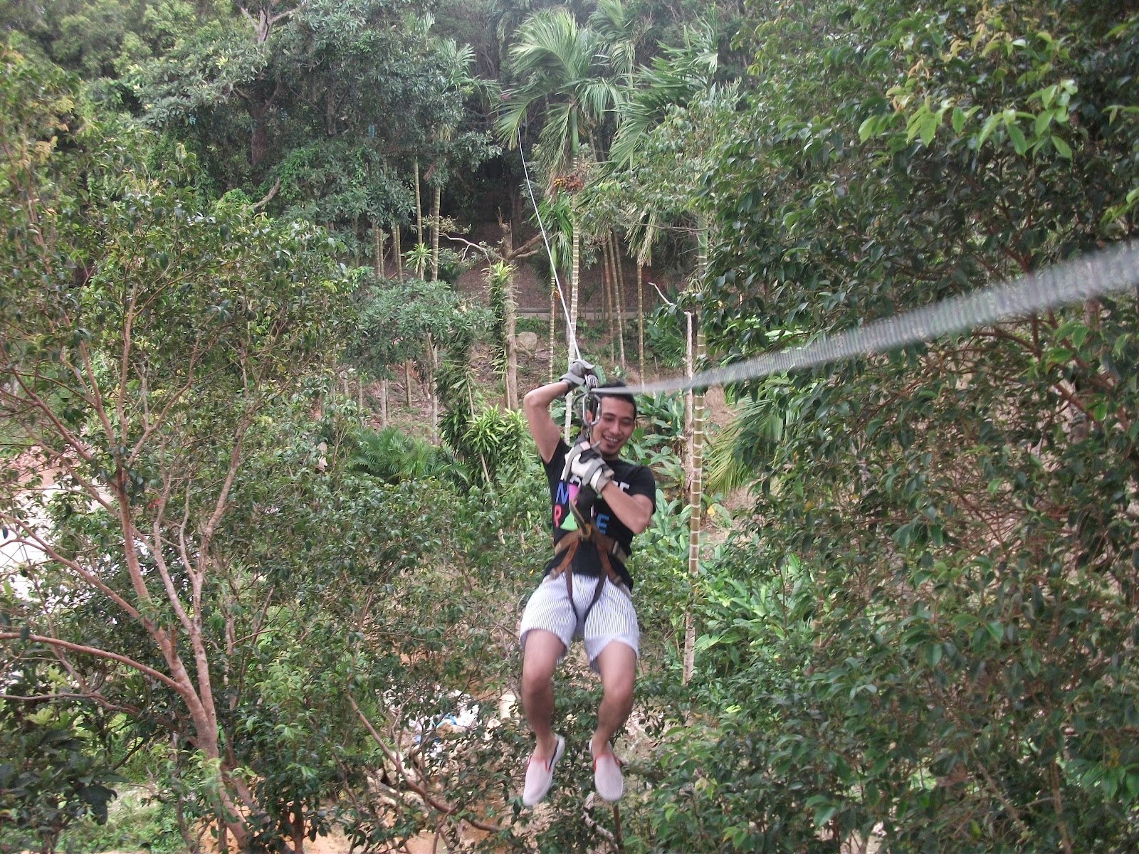 Discover The World: Tree Top Cable Ride - Koh Samui