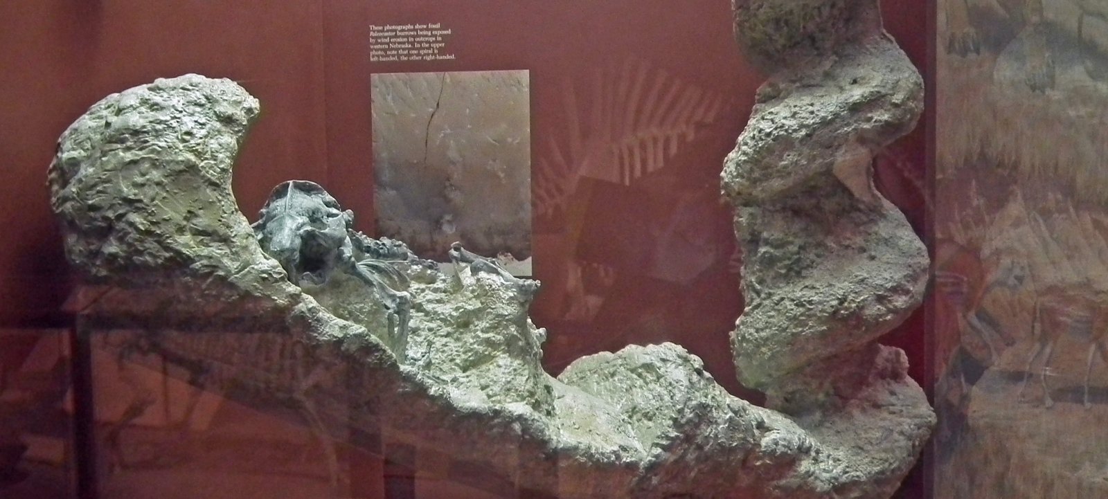 New Adventures - Moving... Visiting... going south : More from inside ...