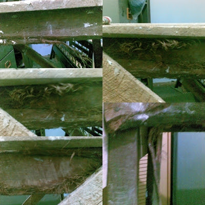 Cacat Pada Kayu - Dhadho.Smanda