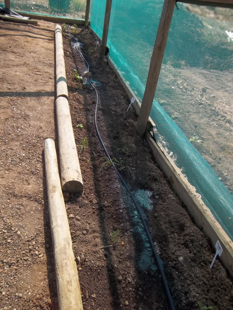 Eco Footprint ~ South Africa: Porous pipe