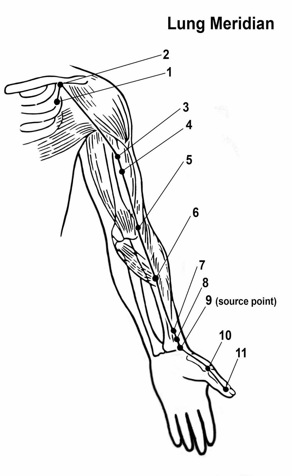 Tom Kbrink's Art and Holistic Living: TCM - Chinese Five Element Theory