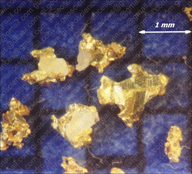 รายการ 100+ ภาพ แร่ ทองคำ ดิบ สวยมาก