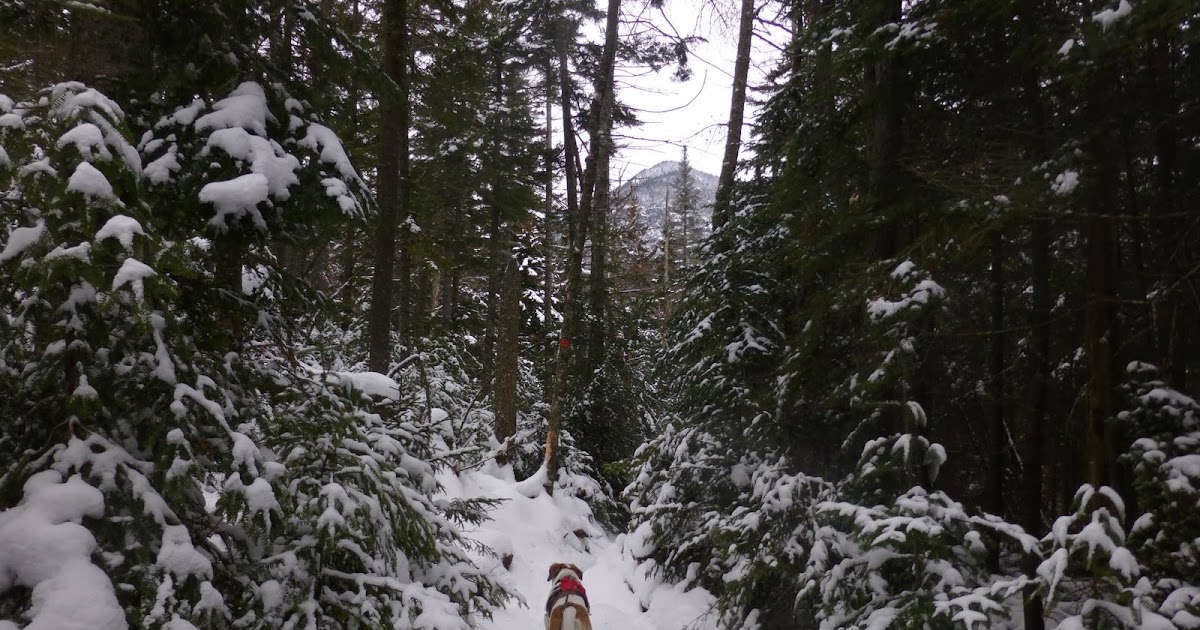 Off on Adventure: Basin and Haystack for Rev's ADK 46 High Peaks Finish ...