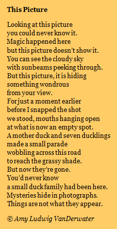 Poems Not What They Seem