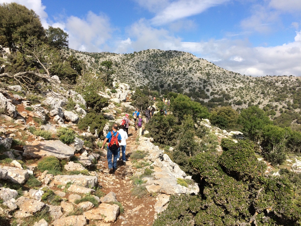 EXPLORE MOUNTAINS: ΟΡΟΠΕΔΙΟ ΚΑΘΑΡΟΥ-ΛΑΣΙΘΙΟΥ-ΧΑΥΓΑΣ-ΝΕΡΑΙΔΟΚΟΛΥΜΠΟΣ