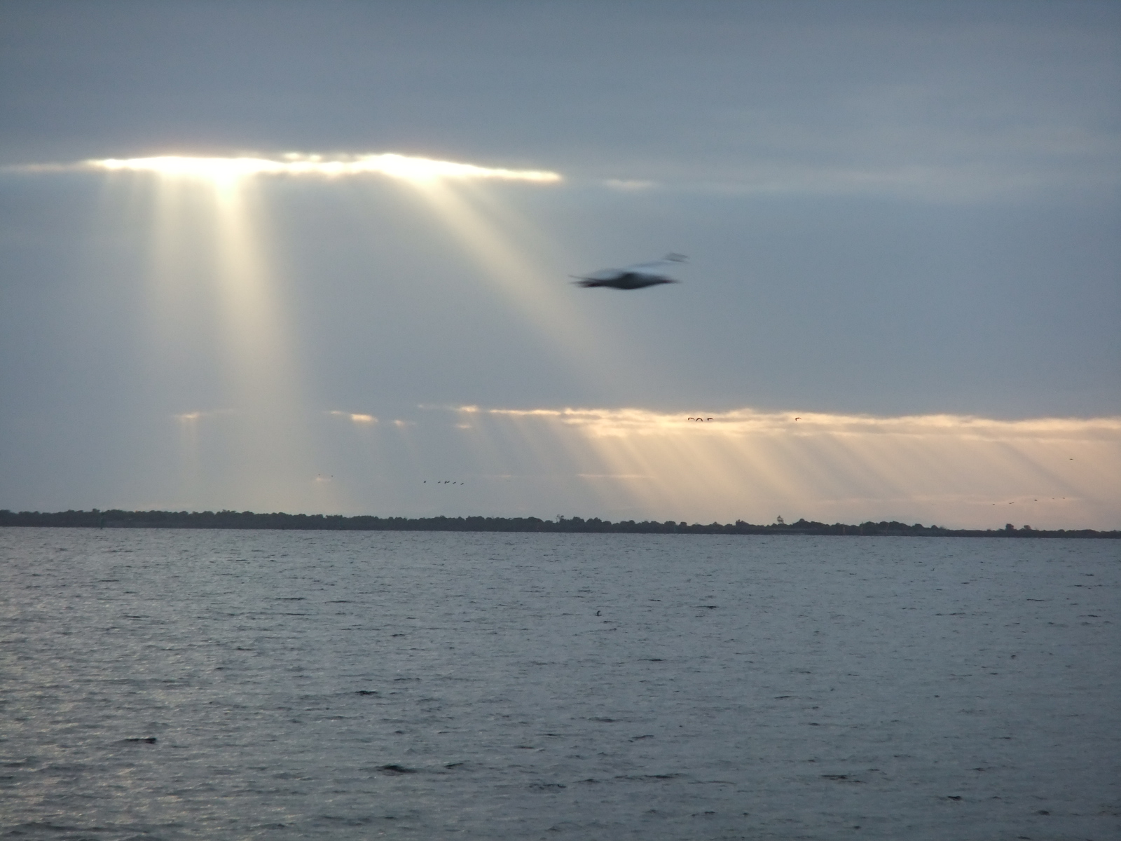 Unidentified Aerial Phenomena - scientific research: Allan Hendry - on ...