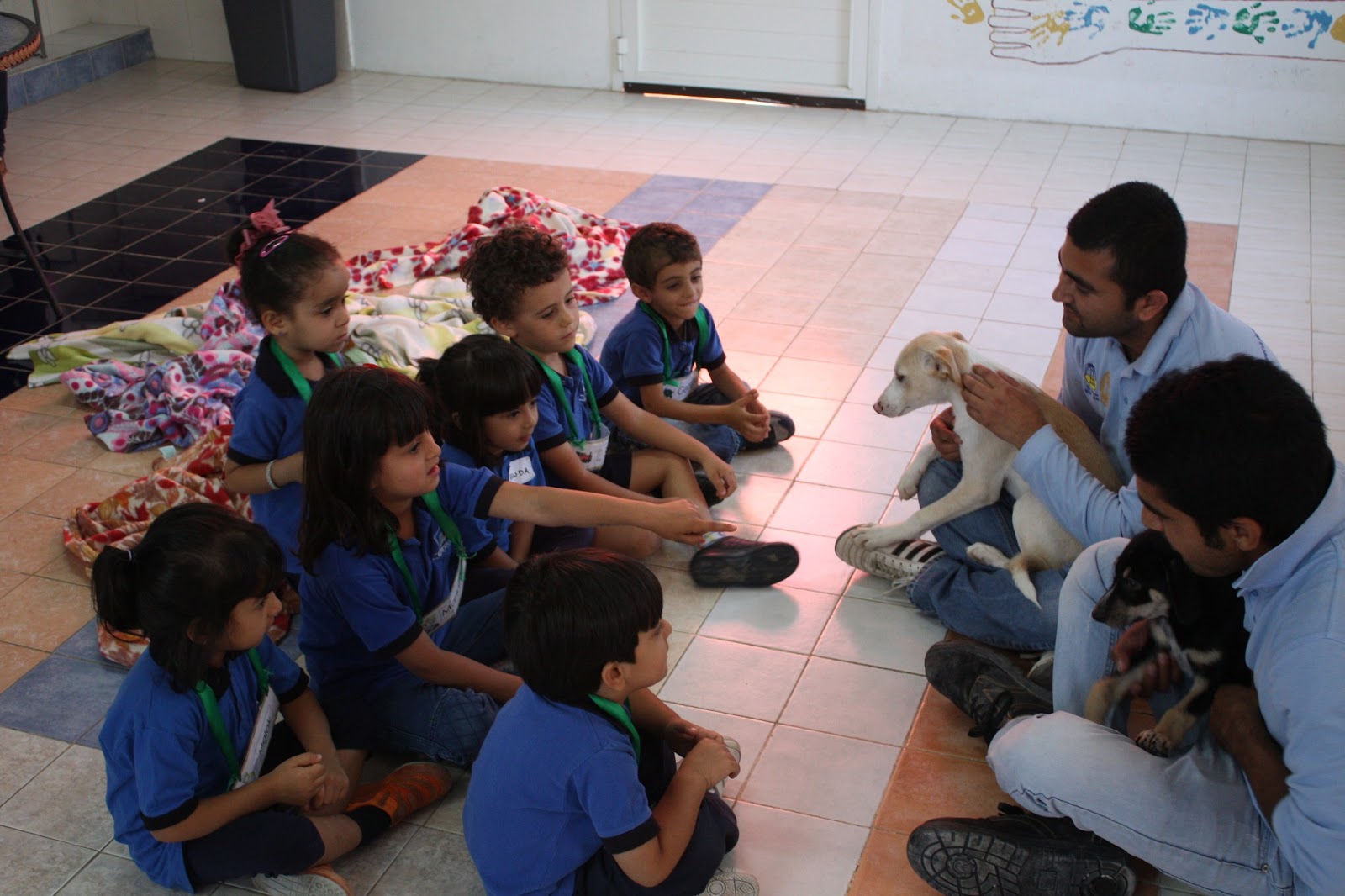 FS1 Buys: RAK Animal Welfare visit!