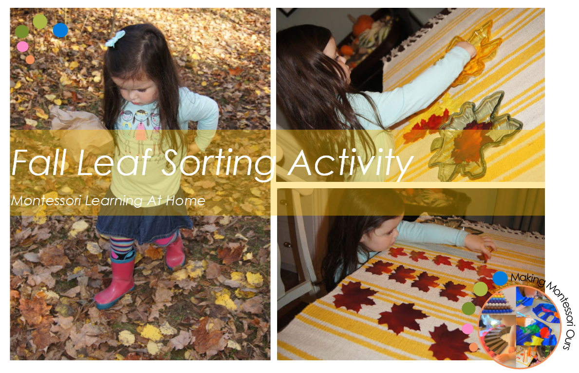 Fall Leaf Sorting Activities - "Making Montessori Ours"