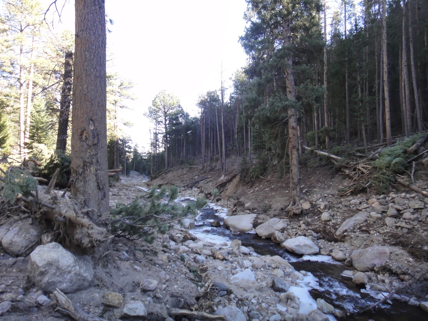 Hiking Rocky Mountain National Park: A brief and triumphant return to RMNP!