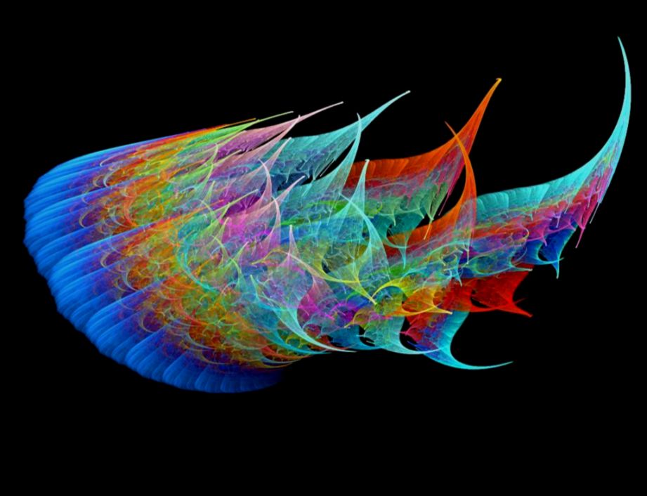 Beautiful Rare Sea Creatures | Wallpapers Gallery