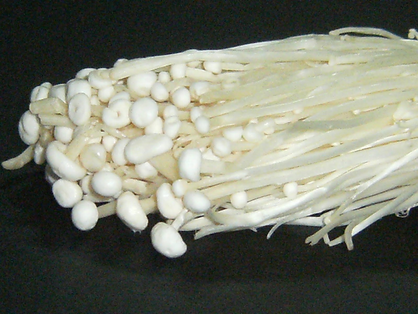 BroZam CubaTry: ENOKI MASAK HALIA