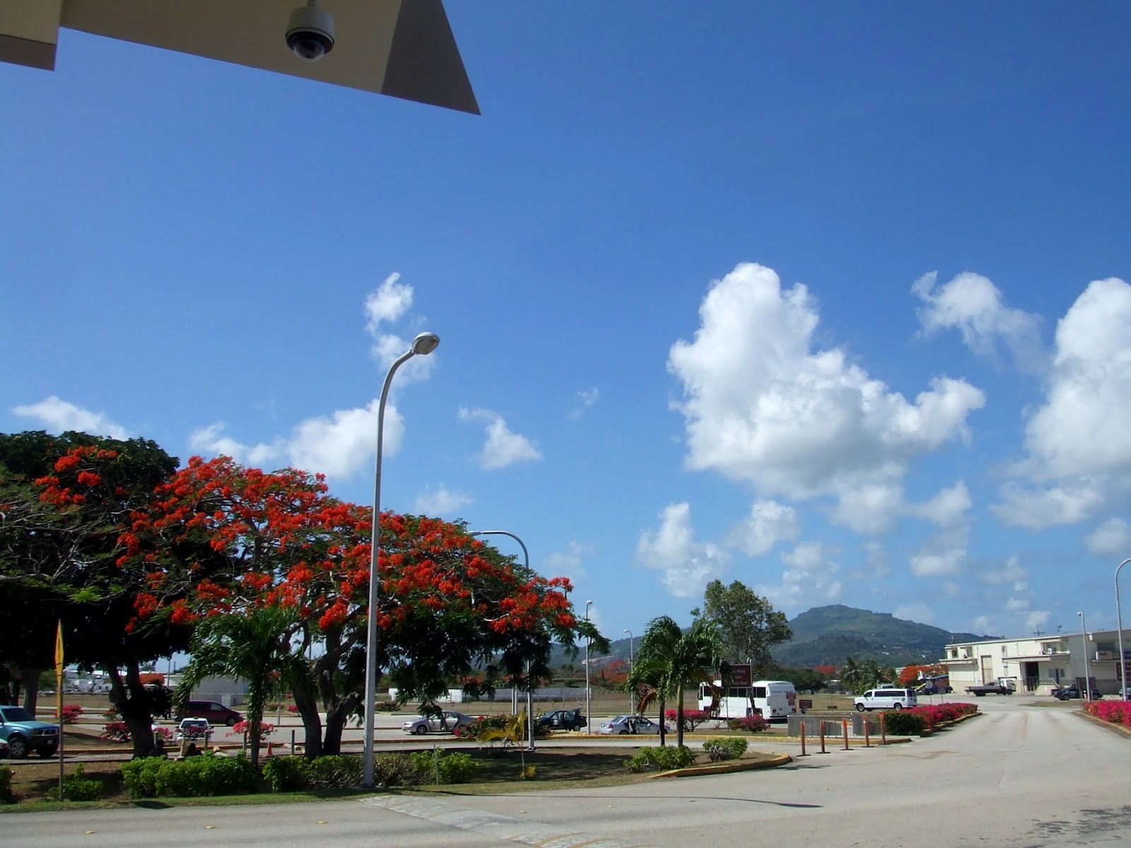 Northern Mariana Islands. A voyage to Northern Mariana Islands (CNMI ...