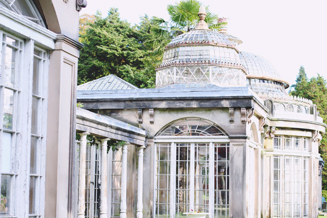 Becky Bedbug: Alton Towers Scarefest