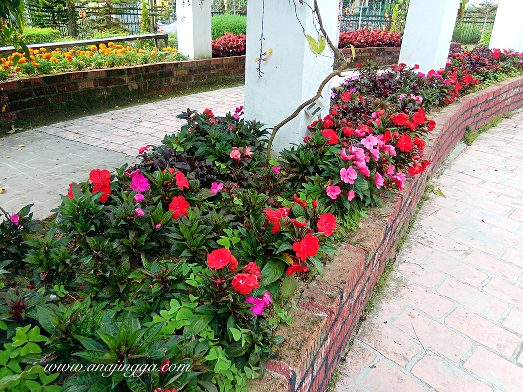 MARDI CAMERON HIGHLANDS Masih Sama Seperti Dahulu