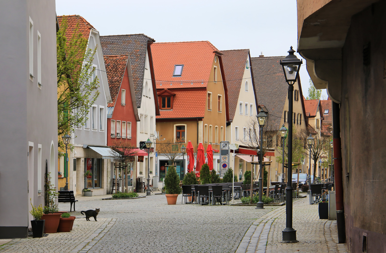 Snapshots from Germany