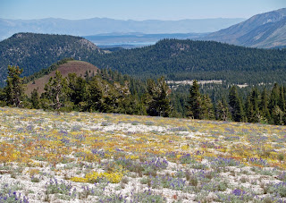 Open Air and Sunshine: Minaret Vista - Hiking Mammoth Lakes, CA