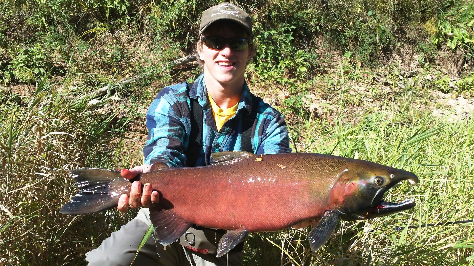 Illinois Wisconsin Fishing: wisconsins fall coho salmon