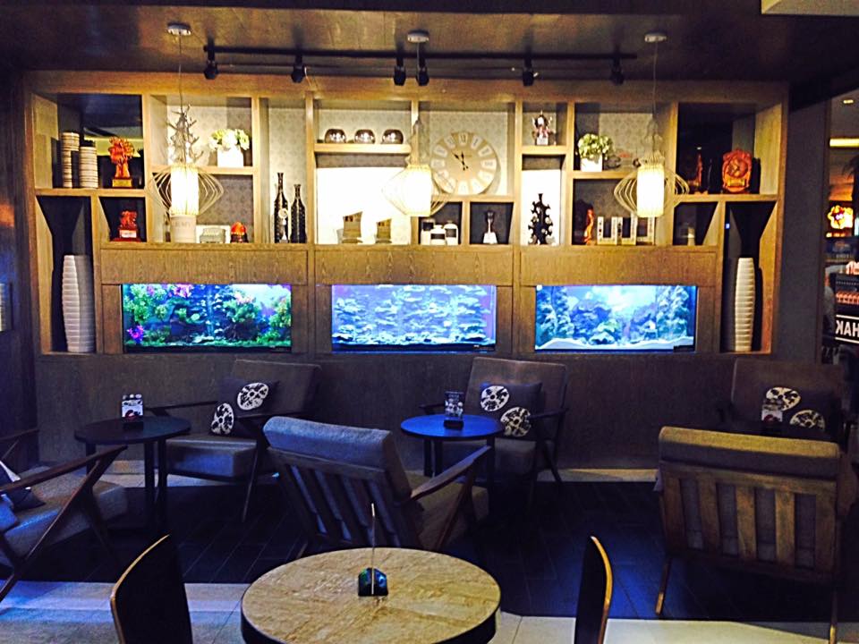 SOPHIEsticated: UNDER THE SEA WITH CAFE AQUATICA