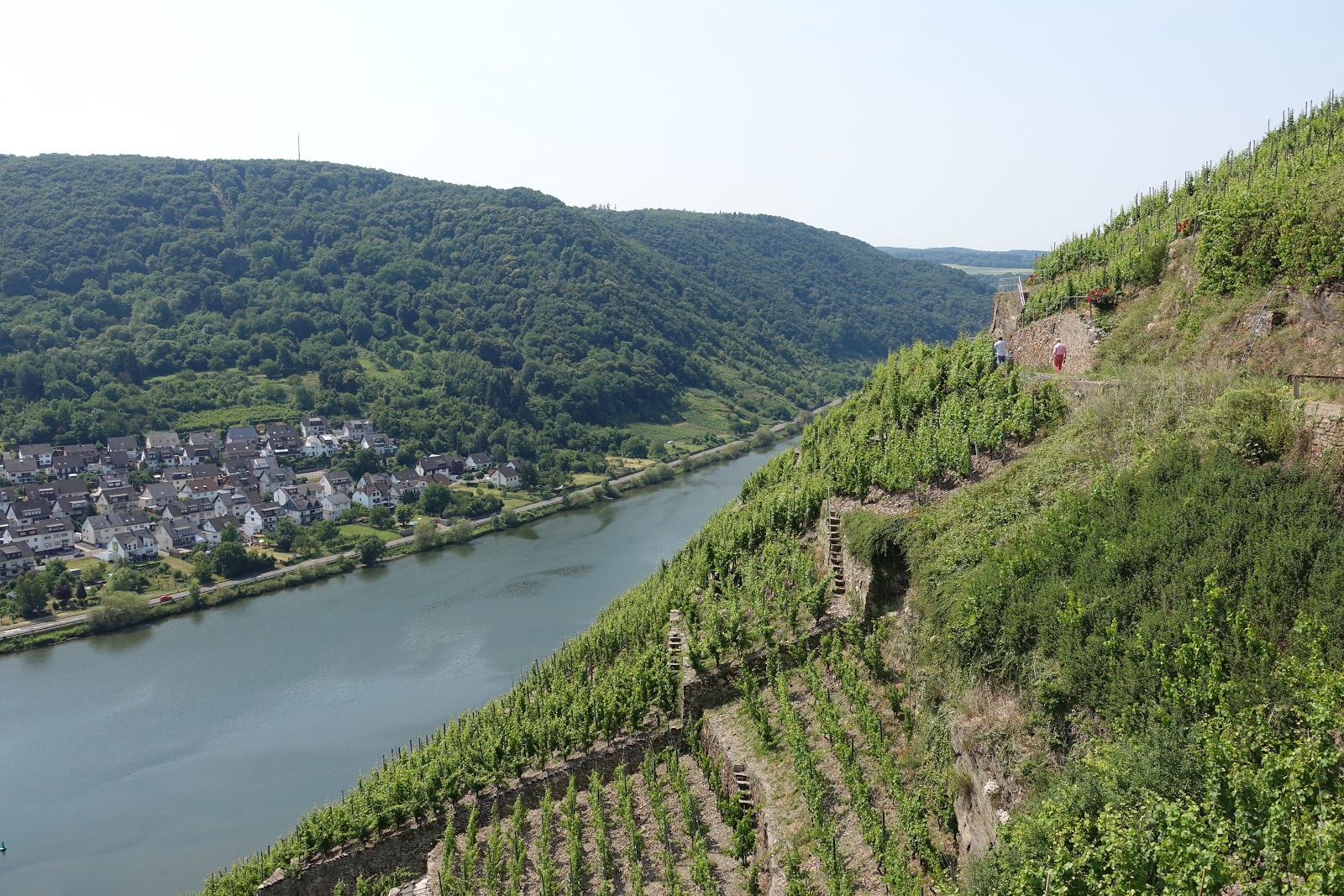 schiller-wine: Vineyard Tour, Cellar Tour and Tasting at Weingut ...