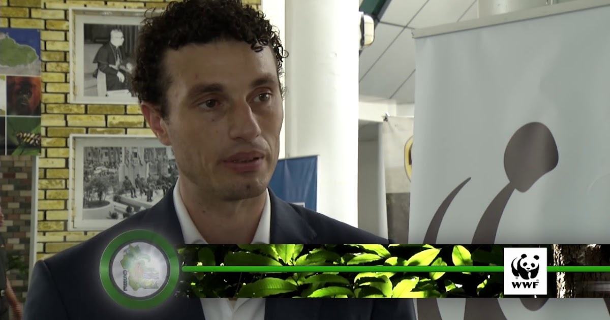 Goudwinning in Suriname: WWF Guianas reageert als mostert na de ...