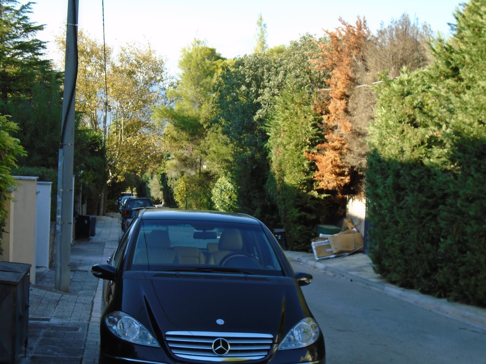 THE YELLOW JOURNAL BERLIN EKALI FOTOREPORT & AGRAMBELIS STREET MIMI ...