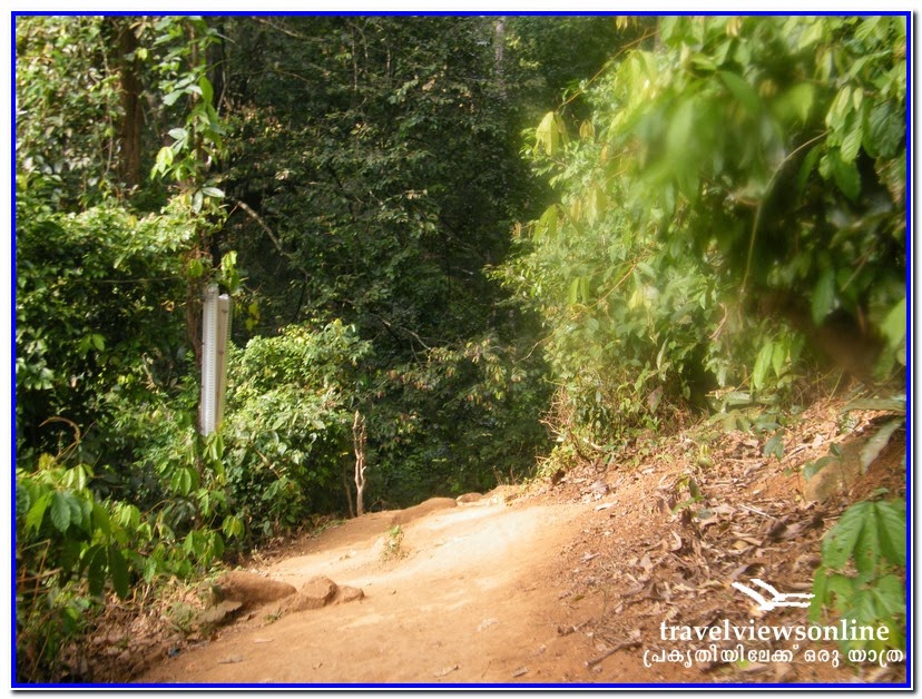 പ്രകൃതിയിലേക്ക് ഒരു യാത്ര (a travel towards NATURE): PULLUMEDU a unique ...