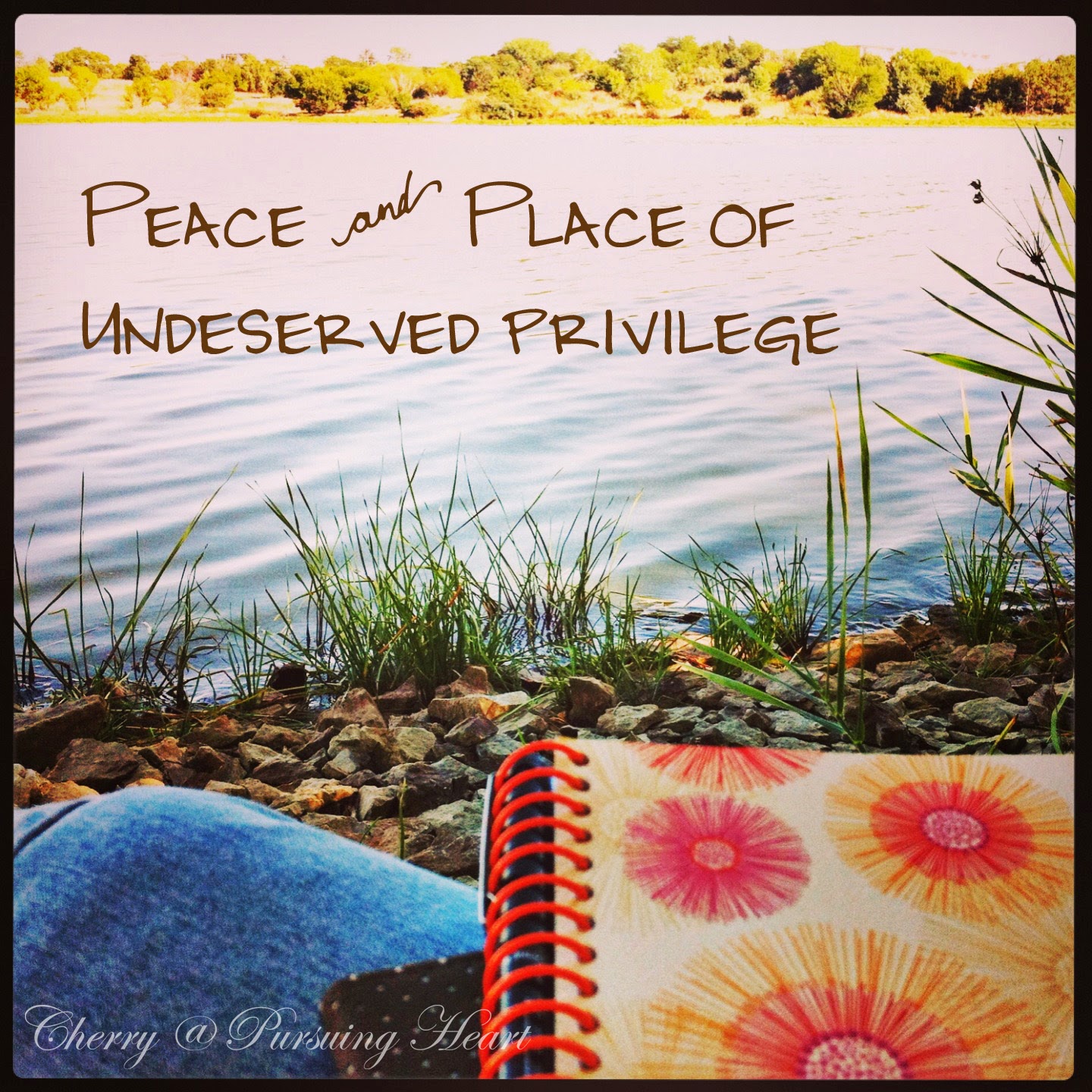 Pursuing Heart: Undeserved Privilege