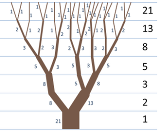 MathsEasyLearn: Fibonacci Series/Number/Sequence (God number series ...