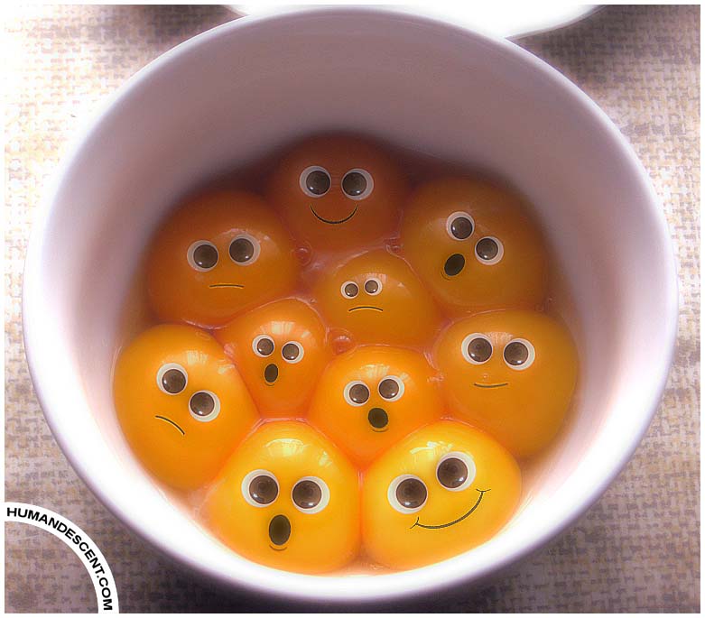 Picture Gallery: Funny Egg Faces Gallery, Eggcellent Videos Funny Games ...